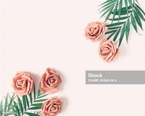 꽃 구성은 베이지 색 파스텔 배경에 장미와 녹색 잎으로 만들어집니다 여성의 날 어머니의 날 발렌타인 데이 인사말 카드를위한 꽃 레이아웃 플랫 레이 맨 위 보기입니다 공간을