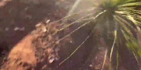 Hot Couple Hookup In The Lady Layer At A Public Park