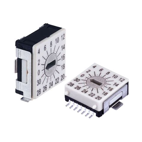 Rotary Code Switches