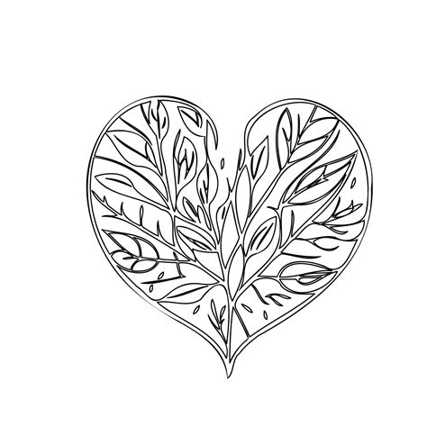 Leaf Love Heart Outline Illustration Sketch 48320579 Vector Art At Vecteezy