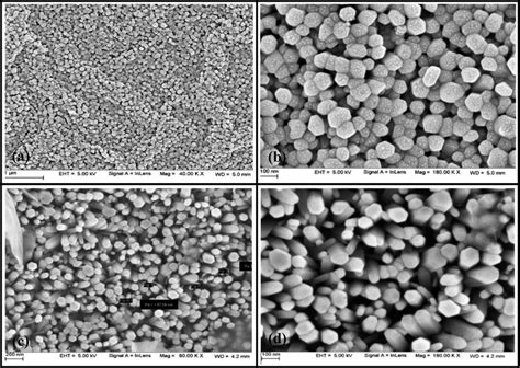 The FeSEM Image Of The ZnO Seed Layer A B And FeSEM Image Of The Download Scientific