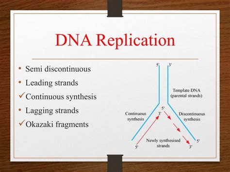 Replication Pptx Chemistry Science
