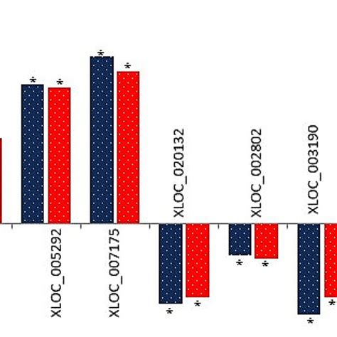 Real Time Quantitative Pcr Qpcr Validation Of High Throughput Download Scientific Diagram