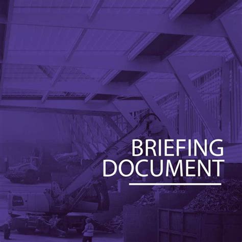 Briefing Document Designscape