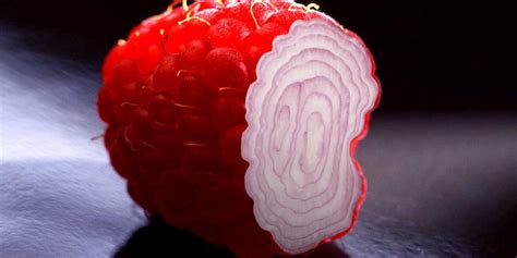 Verwendung Des Tor Netzwerks Zur Verbindung Mit Dem Raspberry Pi Botland