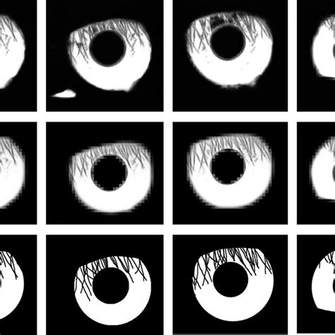 comparison of segmentation results with batch normalization top