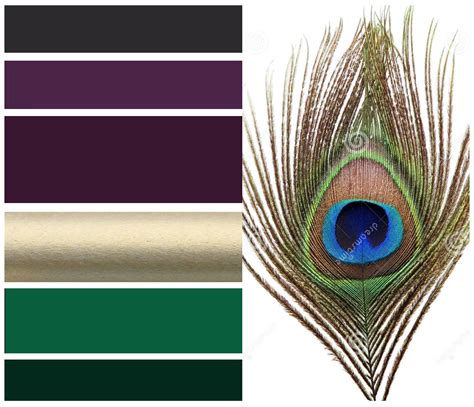 Scott And Hannah 2024 Eggplant And Emerald Peacock Color Scheme