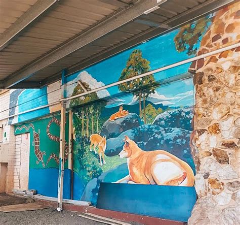 Get Ya Hippie On Discover Nimbin On A Quirky Nimbin Tour From Byron Bay The Wild Globetrotter