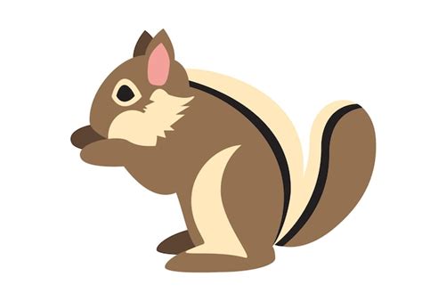 Free Vector Cute Squirrel Illustrations Premium Vector