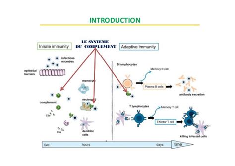 Cours Complement Medecine 2016