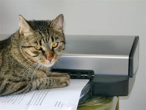 How To Override Low Ink On A Lexmark Printer Techwalla