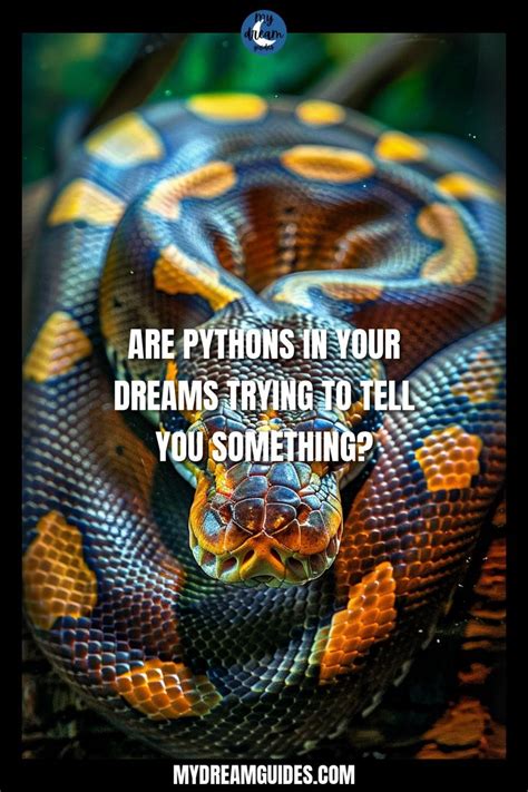 Are Pythons In Your Dreams Trying To Tell You Something In 2024