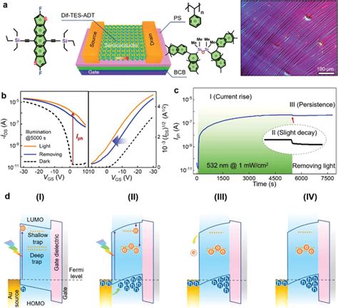 A Schematics Of The Ofet On The Bcb‐coated Sio2si Substrate Where