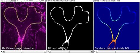 Plot Intensities Based On Distancecurvature In 3d Image Analysis