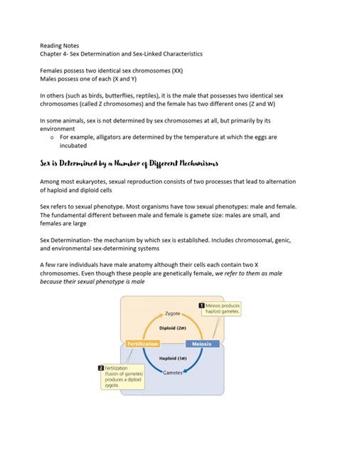 Sex Determination And Sex Linked Characteristics Pdf Sex Male