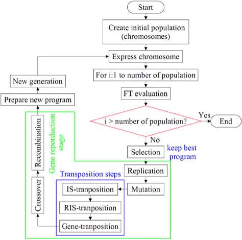 flow diagram of gep algorithm download scientific diagram