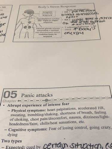 Exam 2 For Abnormal Psych Flashcards Quizlet