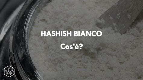 White Hashish Understanding The Mystery Behind It Hemp Embassy Cannabis Light And Hash Cbd