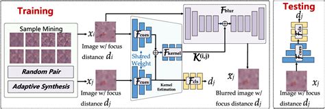 Figure 1 From Single Shot Focus Estimation For Microscopy Imaging With Kernel Distillation