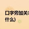 小学动态 科学教育网