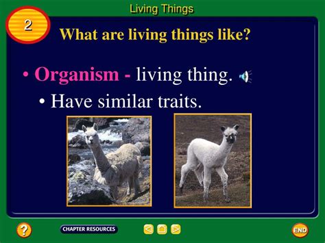 Ppt Chapter Exploring And Classifying Life Powerpoint Presentation
