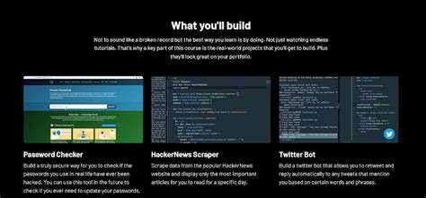 is complete python developer in 2025 zero to mastery by andrei neagoie