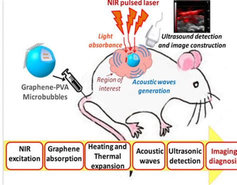 Hemorrhage Fever Or Ultrasonically Induced Hemorrhage