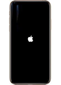 How To Force Reboot IPhone XS Max IPhone XS IPhone XR