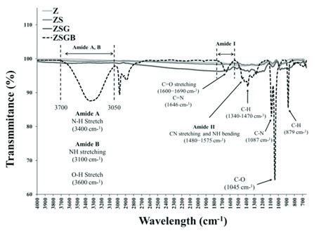 FTIR Analysis Results Showing The Function Groups Of Test Specimens Download Scientific Diagram