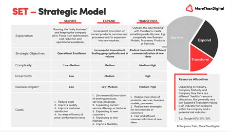 Set Model For Business Strategy Planning Survive Expand Transform