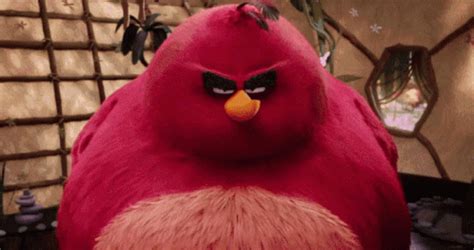 Terence Angry Birds  Terence Angry Birds Grin Discover And Share