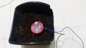 DIY Soil Moisture Sensor Circuits DIYnCrafty