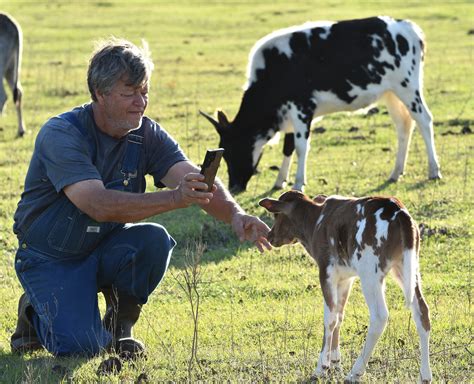 Amanda Weldon Art This Gem Is Back In The Game And Available Now Texture And Layers And Gold