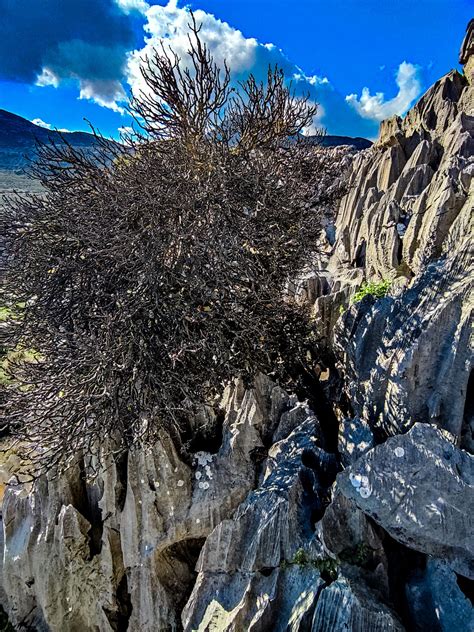 ⭐ Travel Guide for Island Crete ⛵, Greece - Galia Rock Formations