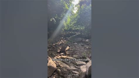 夏天烧烤露营🏕️又要有树荫又要有水玩。水洪池秘境避暑胜地。户外玩水，安全第一。 清凉避暑好去处 户外露营 夏日溯溪露营地推荐 旅行推荐官 济源 Youtube