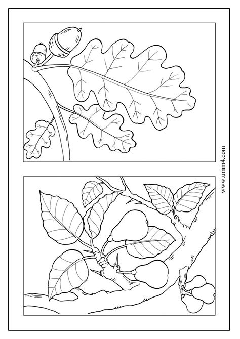 Как распечатать рисунок на весь лист а4