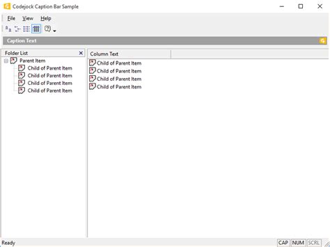 Controls Examples Codejock