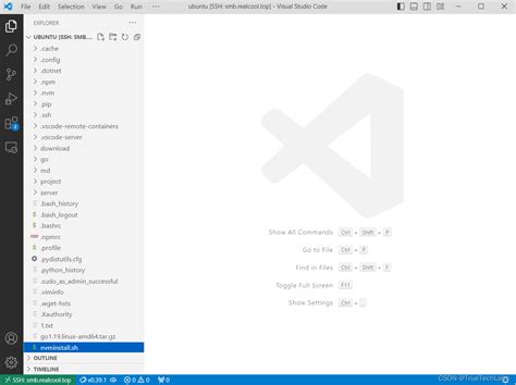 快速入门linux及使用vscode远程连接linux服务器vscode Linux Csdn博客
