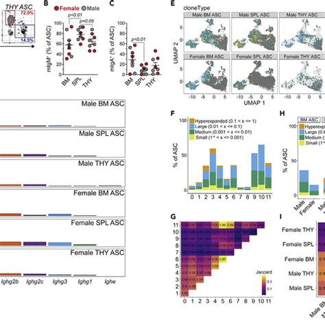 Antibody Secreting Cell Immunoglobulin Repertories Can Be Distinguished Download Scientific