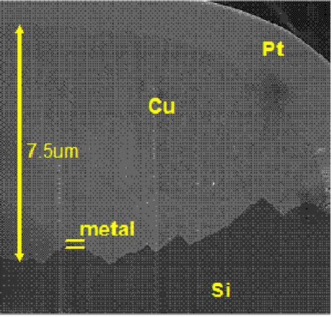 FIB Cross Section At The Edge Of A Plated Cu Finger From A Solar Cell Download Scientific