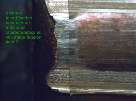 D A Confidential Ballistics Matching Bullets