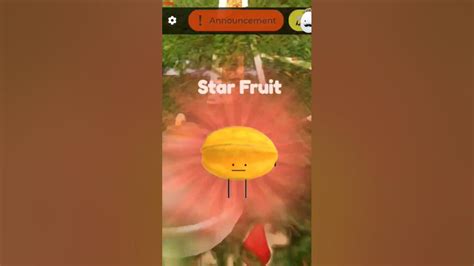 How To Get Star Fruit In Secret Staycation Christmas