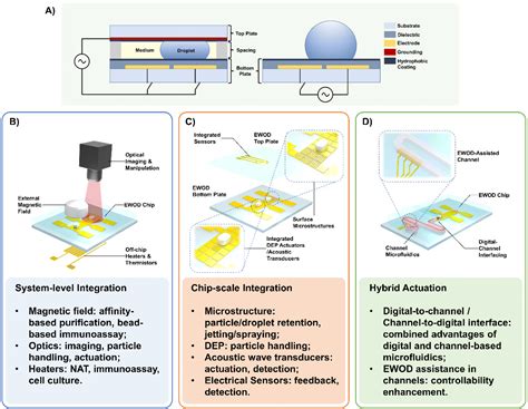 Electrochemical Detection Microfluidic Chip At Robert Parsley Blog