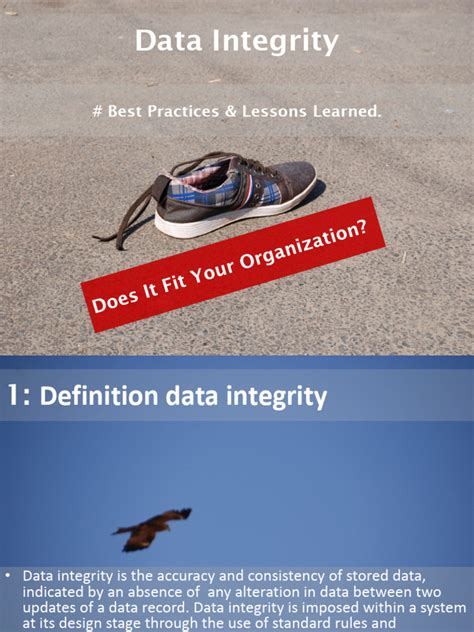 Data Integrity Best Practices And Lessons Learned Pdf Verification
