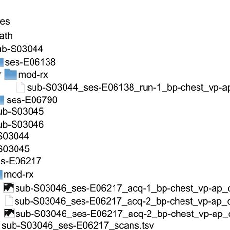 Data Structure In Dicom Format Download Scientific Diagram