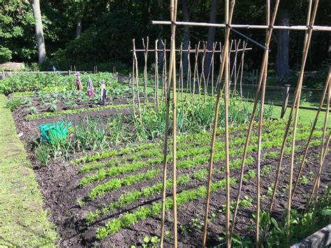 Green And Peasant Land Page 2 The Blog Of Philip Walling