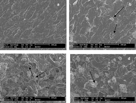 Sem Micrographs Taken From The Fracture Surfaces Of Pp And Pp Fe Download Scientific Diagram