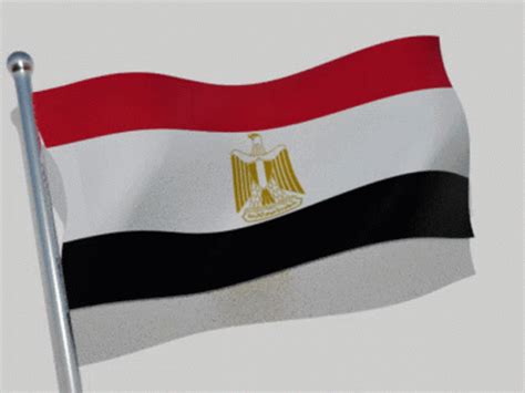 Egypt Flag  Egypt Flag Flag Waver Discover And Share S
