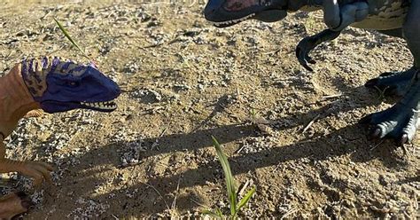 Concaventor Couple Album On Imgur