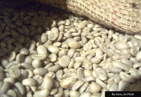 Symbiotic Open Source Ecosystem That Ensures Sustainable Product Roadmap Ppt